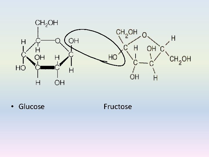 Molecular Models Practice Building Monomers Lab Must get
