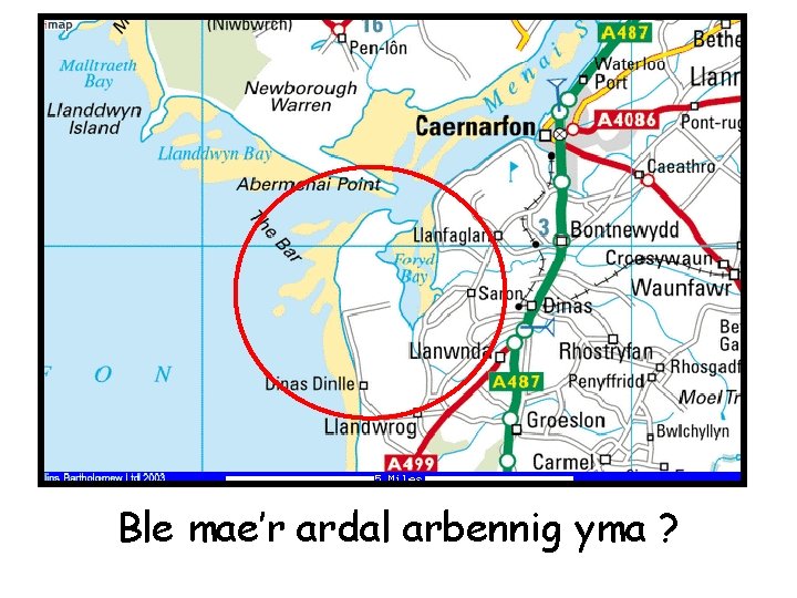 Bioamrywiaeth y Foryd a Thraeth Dinas Dinlle Astudiaeth