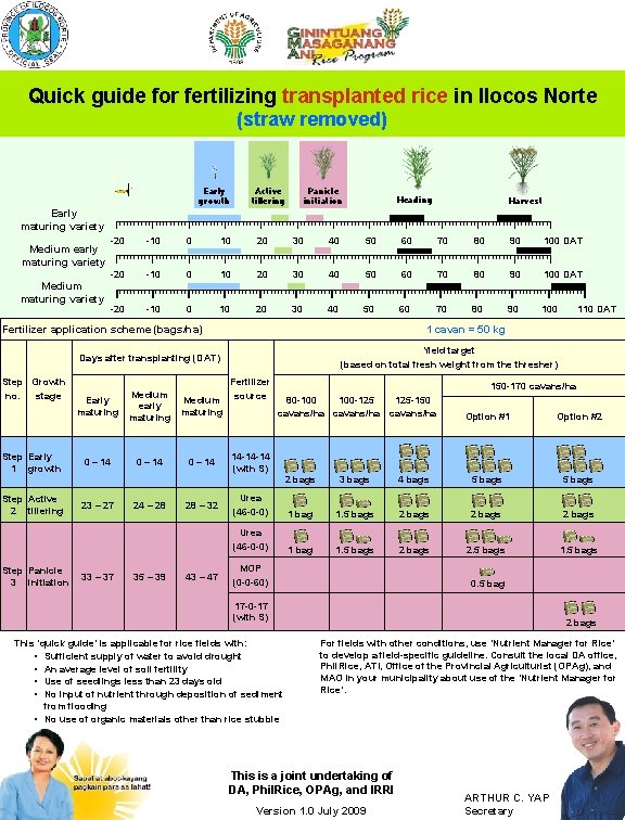Quick guide for fertilizing transplanted rice in Ilocos