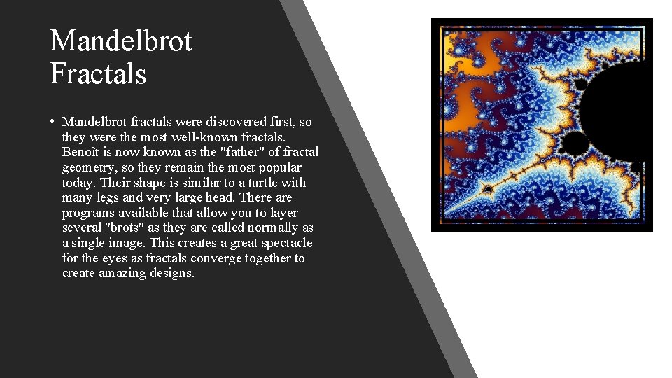 Fractals in Nature And what you have to