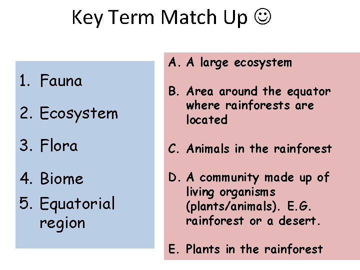 Key Term Match Up 1 Fauna A A