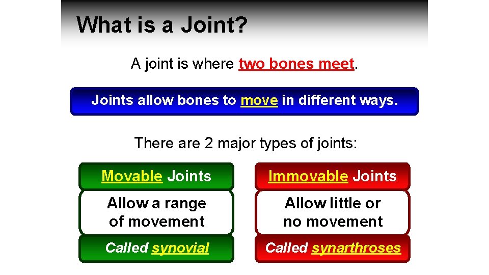 The Skeletal System Part 3 Joints What is