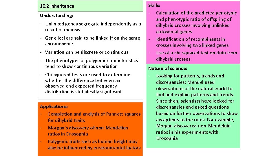 10 2 Inheritance Understanding Unlinked genes segregate independently