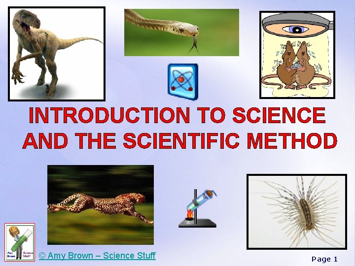 INTRODUCTION TO SCIENCE AND THE SCIENTIFIC METHOD Amy