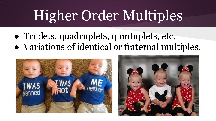 Multiple Gestation Brooke Bracy JB Kagabo Danielle Loomis