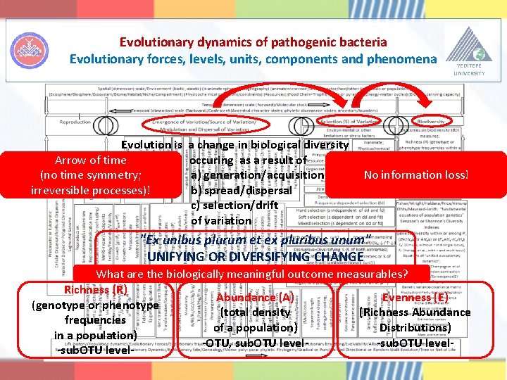 Antimicrobial agents Basic Concepts and Principles Evolutionary dynamics
