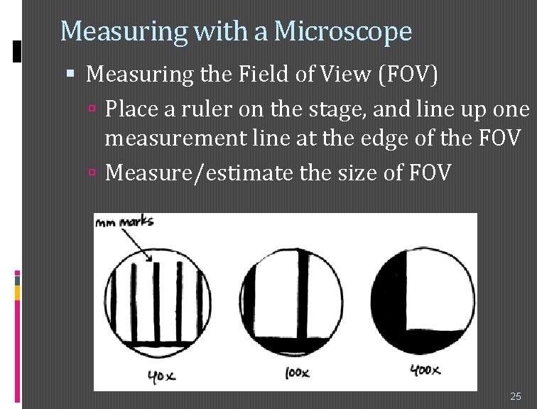 Cell Study 1 Microscope History Robert Hooke First