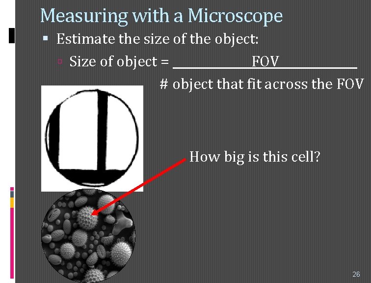 Cell Study 1 Microscope History Robert Hooke First