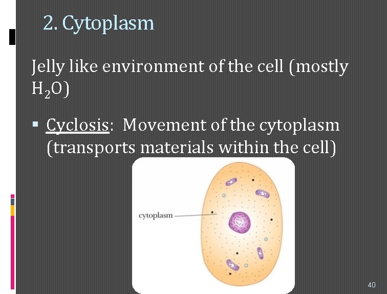 Cell Study 1 Microscope History Robert Hooke First