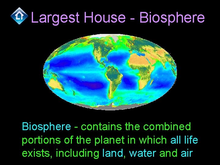 Learning Objectives Identify the levels of organization that