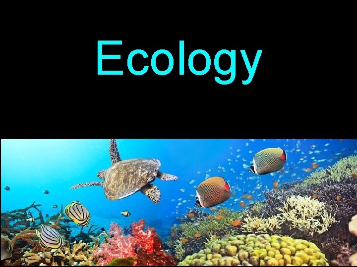 Learning Objectives Identify the levels of organization that