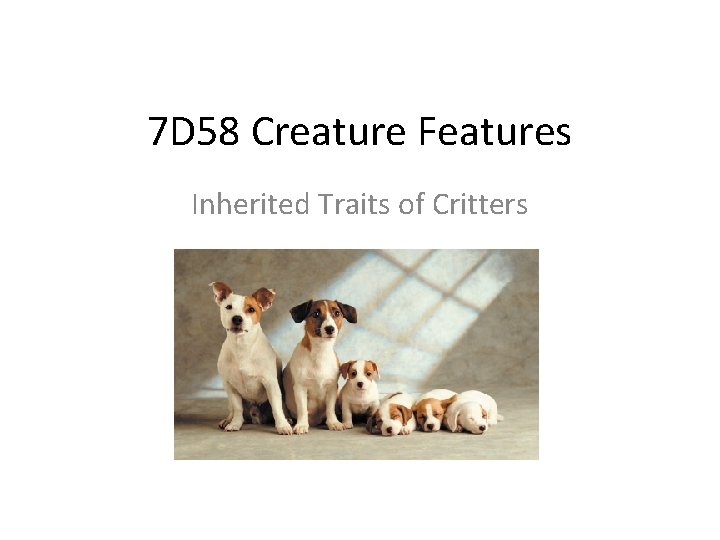 7 D 58 Creature Features Inherited Traits of