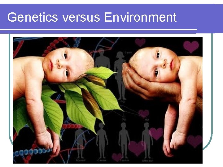 Prenatal Influences Having a healthy baby l Brain