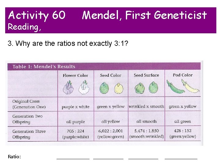 Activity 60 Reading Mendel First Geneticist Learning Target