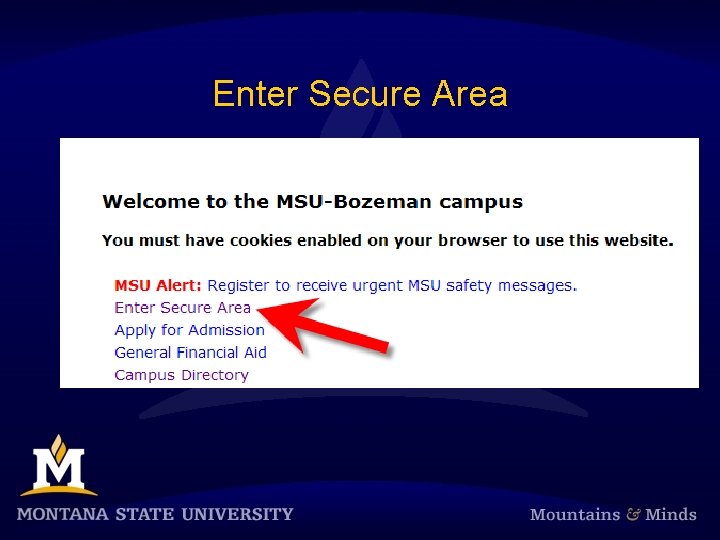 Web Time Entry What is it and How