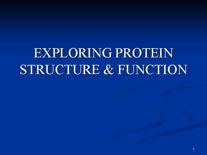 EXPLORING PROTEIN STRUCTURE FUNCTION 1 Proteins n n