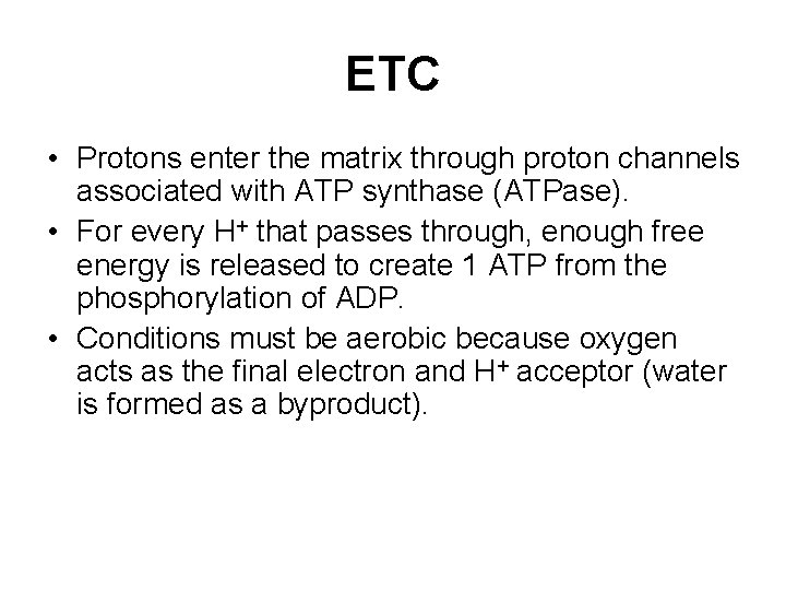 Electron Transport Chain ETC A series of electron
