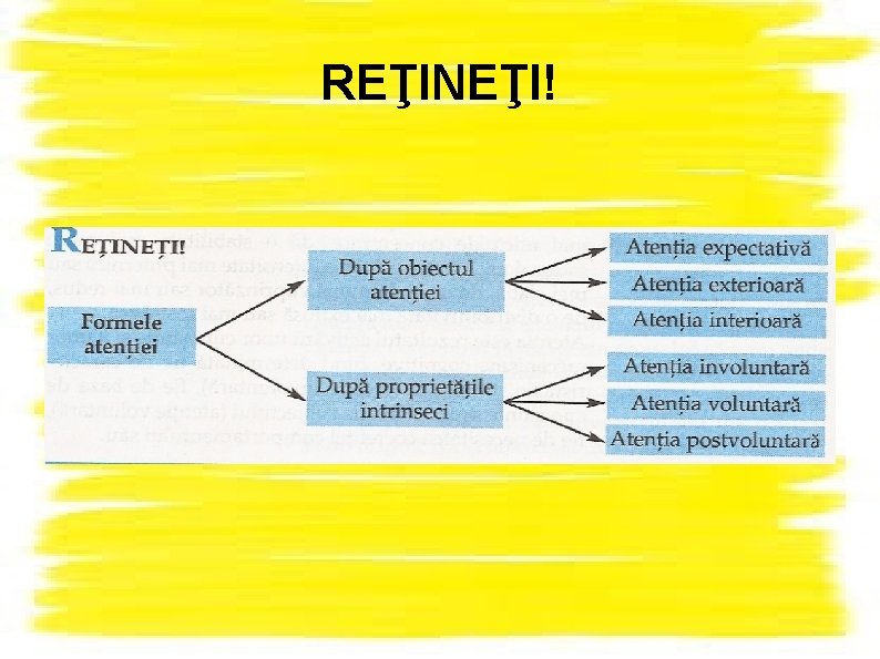 ATENIA Psihologie PP Clasa a Xa Prof cons