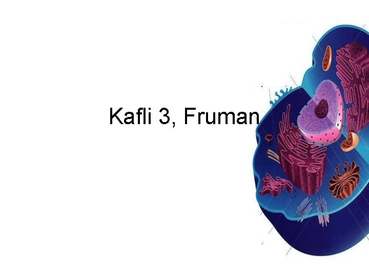 Kafli 3 Fruman Frumuhimna Frumuhimna umlykur alla frumuna