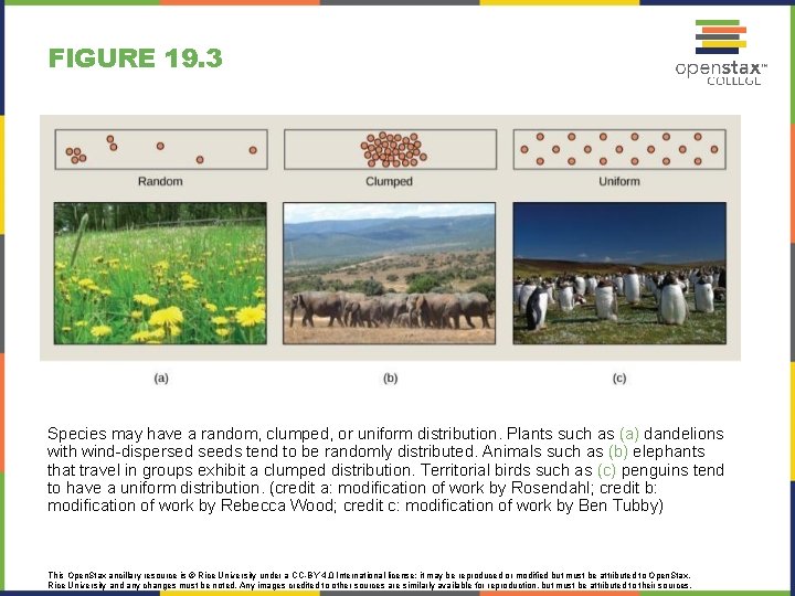 CONCEPTS OF BIOLOGY Chapter 19 POPULATION AND COMMUNITY
