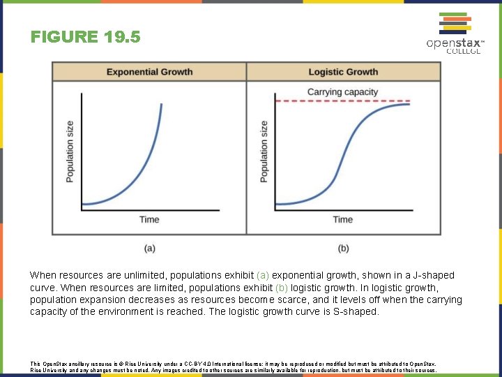 CONCEPTS OF BIOLOGY Chapter 19 POPULATION AND COMMUNITY