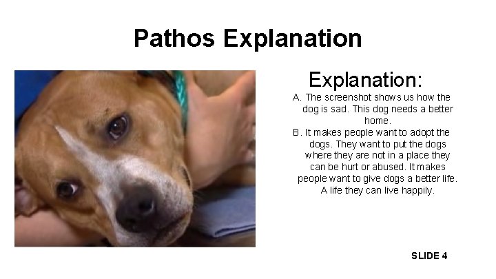 Persuasion Devices Mark Dizon Brandon Johnson Sarah Martin