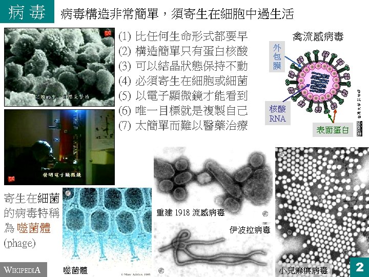 Purves et al Life The Science of Biology