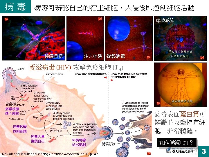 Purves et al Life The Science of Biology