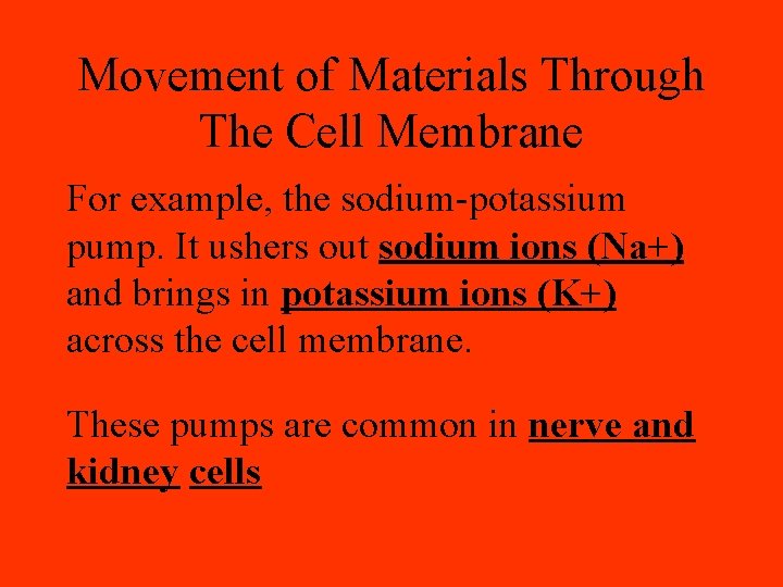Movement of Materials Through The Cell Membrane Active
