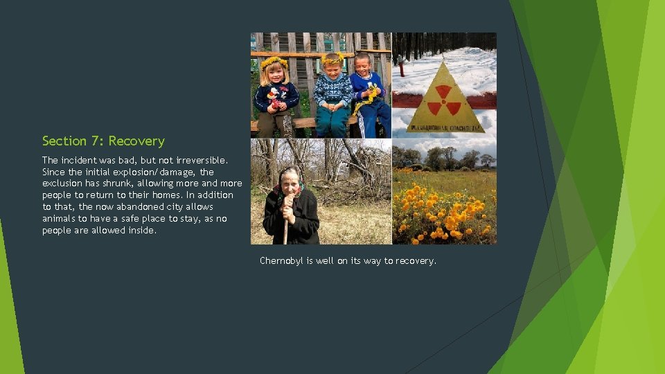 The Chernobyl Incident By Raymond Zeng Section 1