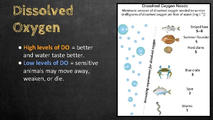 Physical and Biological Factors that affect the water