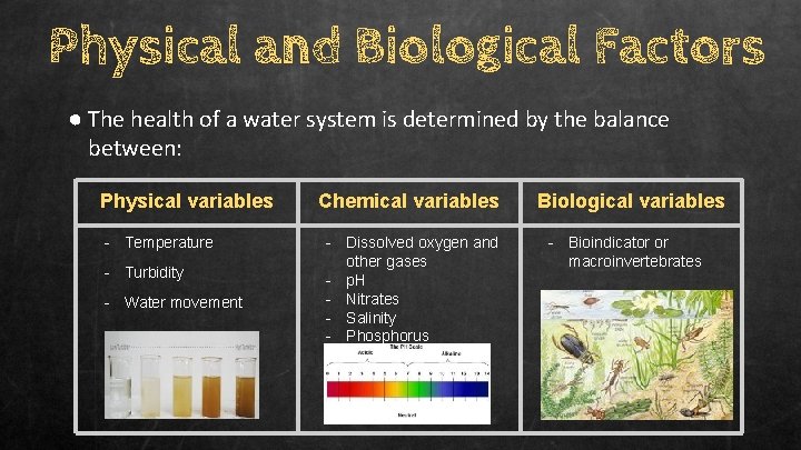 Physical and Biological Factors that affect the water