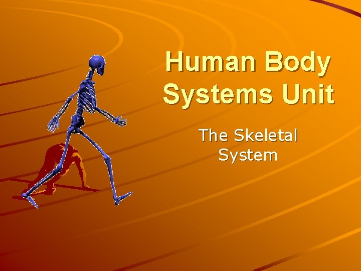 Human Body Systems Unit The Skeletal System The