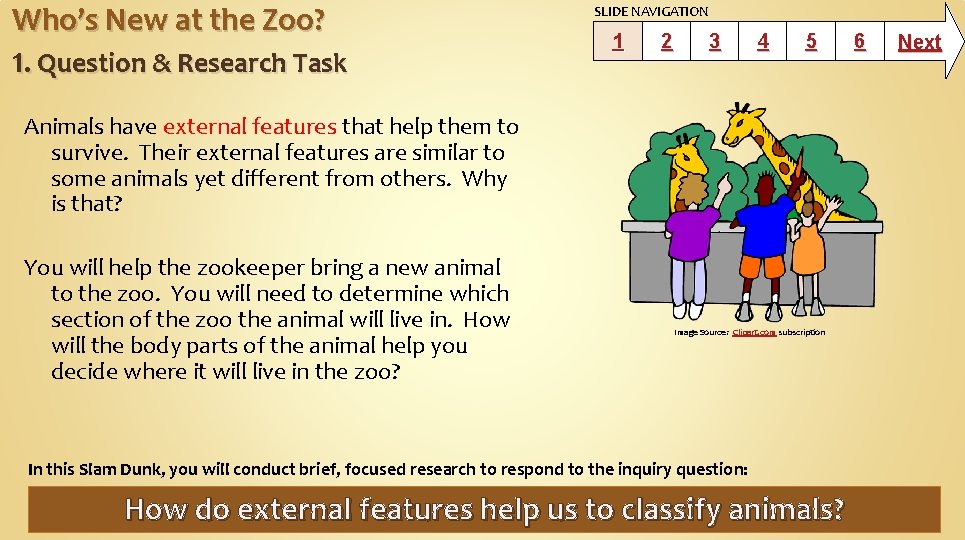 Whos New at the Zoo 1 Question Research