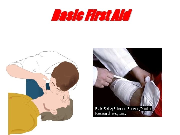 First Aid Basic First Aid Securing the Scene