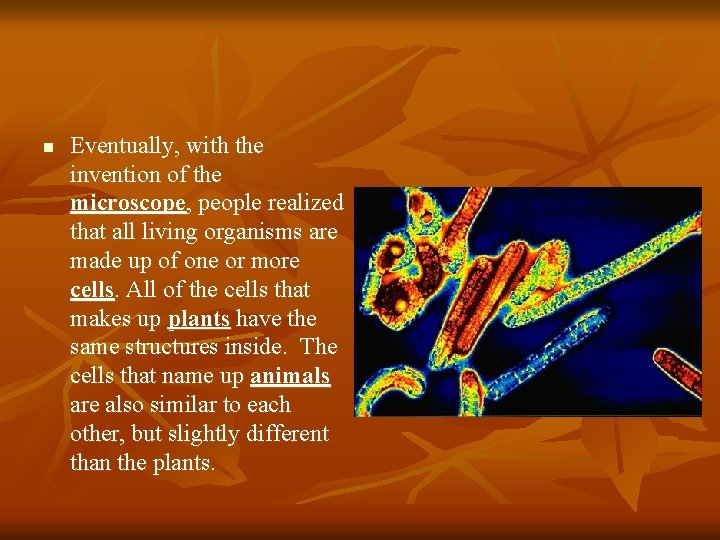 Cells The Basic Unit of Life Where does