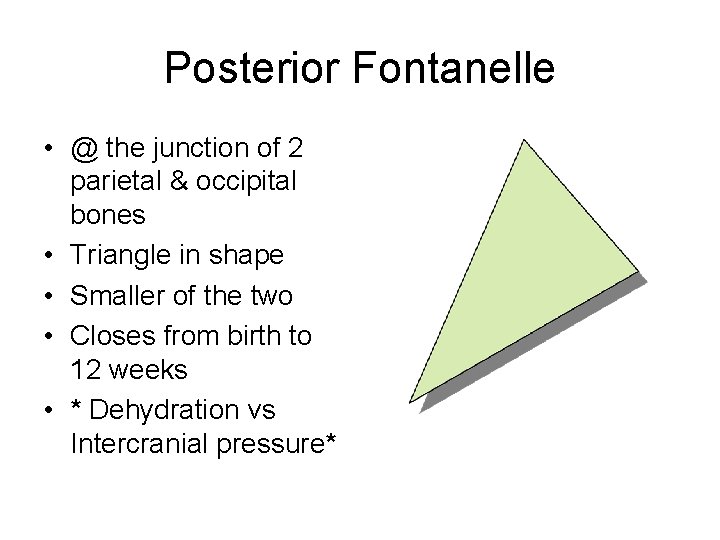 Module C Birth Process Labor What causes It