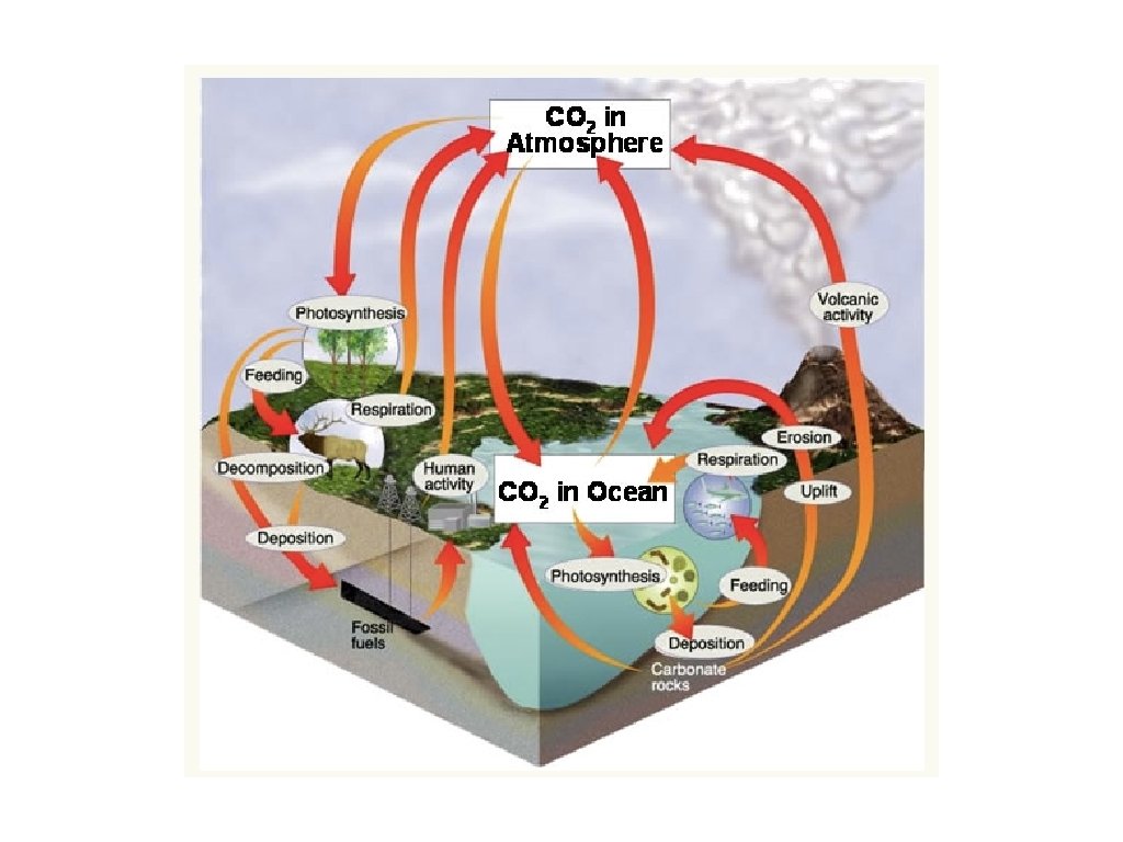 The Carbon Cycle A key to our climate