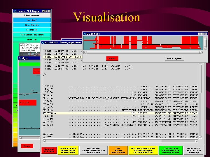 Gscope Loutil bioinformatique pour la gnomique structurale Gscope