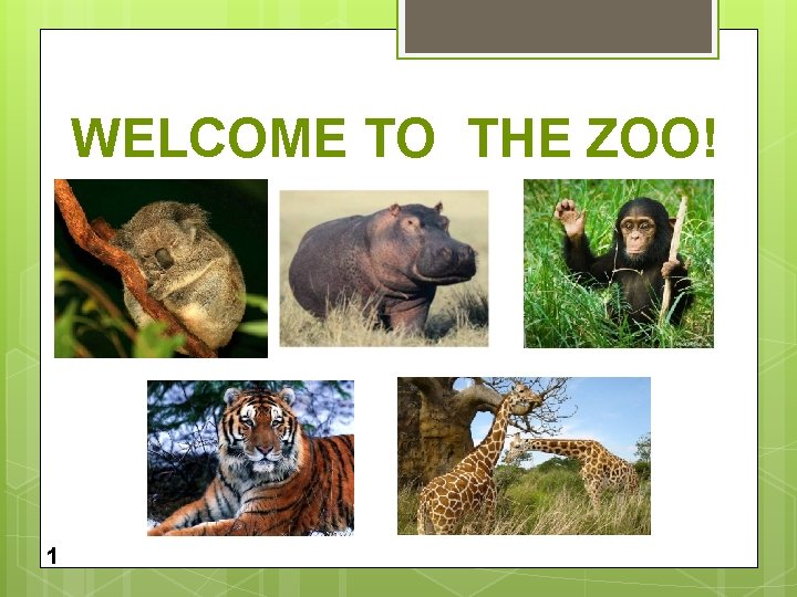 WELCOME TO THE ZOO 1 b bear bird