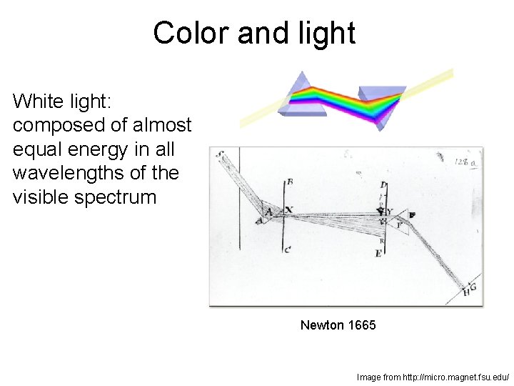 Color Based on Kristen Graumans Slides for Computer