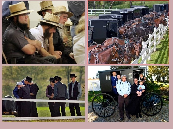 LES AMISH AMIOV ivot Ami si nelze vbec