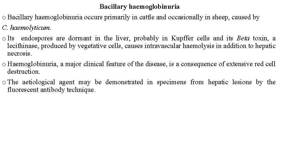 Braxy o Braxy an abomasitis of sheep is