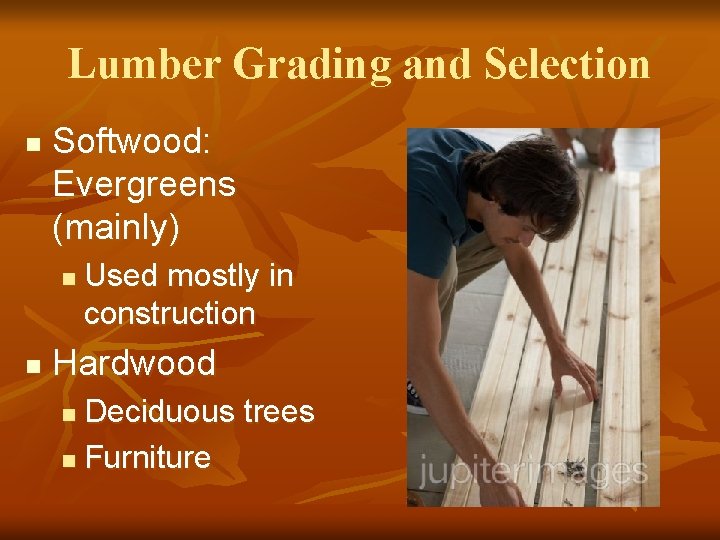 Lumber Grading Objectives n To understand the different