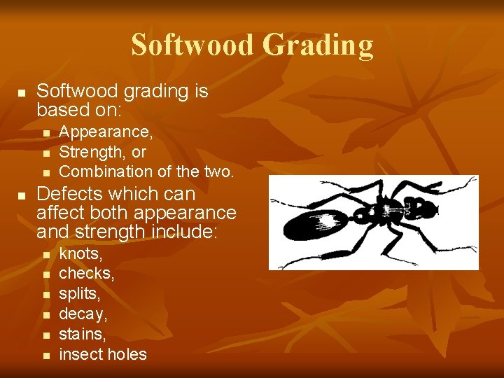 Lumber Grading Objectives n To understand the different