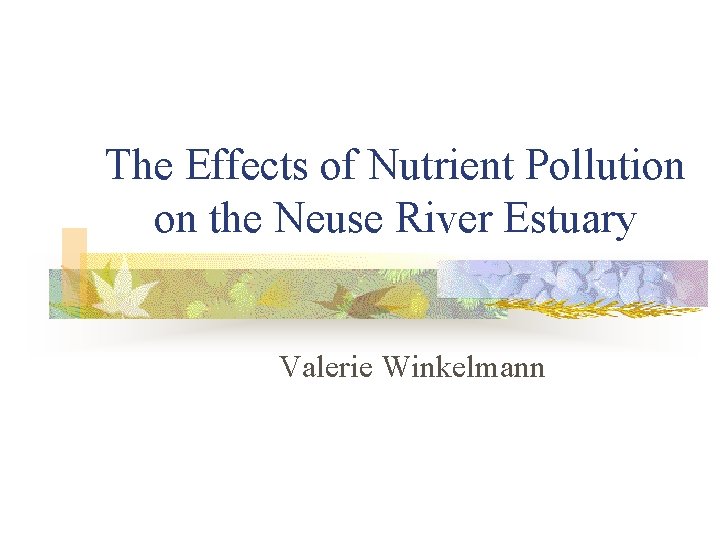 The Effects of Nutrient Pollution on the Neuse