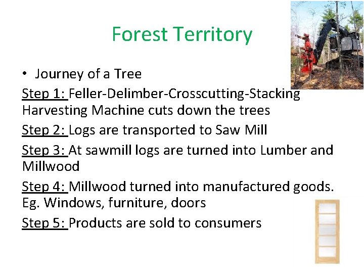 Forest Territory Importance of Forests Environmental animalsshelter ...