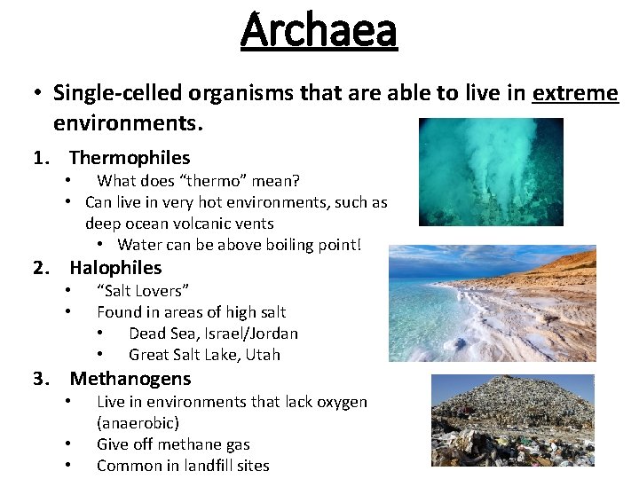 MICROBIO II A LITTLE REVIEW FIRST 1 What