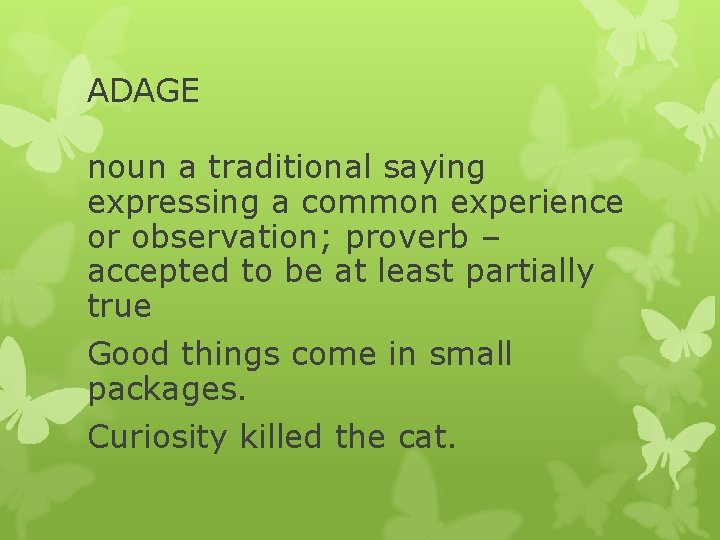 ADAGE noun a traditional saying expressing a common