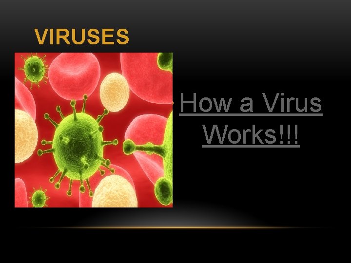 Bacterial Viral Infections Acute Viral Nasopharyngitis The Common